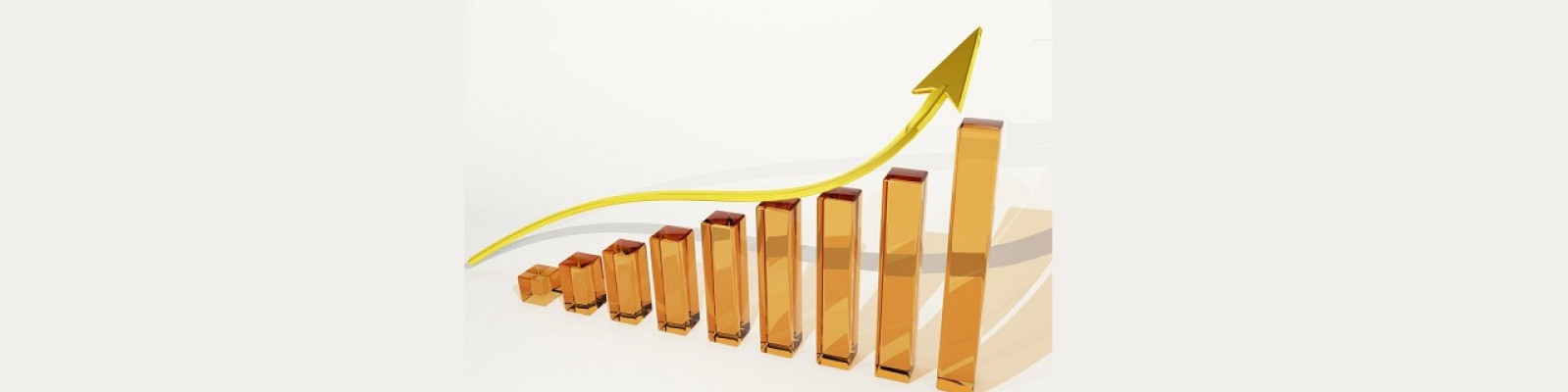 Umjeren ekonomski rast BiH od 2,6% u 2024. godini